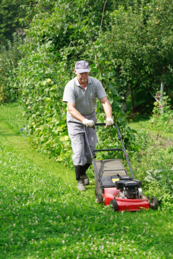 Landscaping contractor in Petaluma CA
